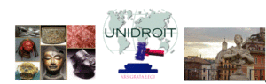 Past Events - The 1995 UNIDROIT Convention Academic Project